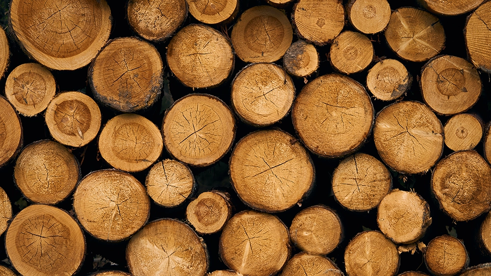 Alles wat je moet weten over houtsoorten - Huis Enzo